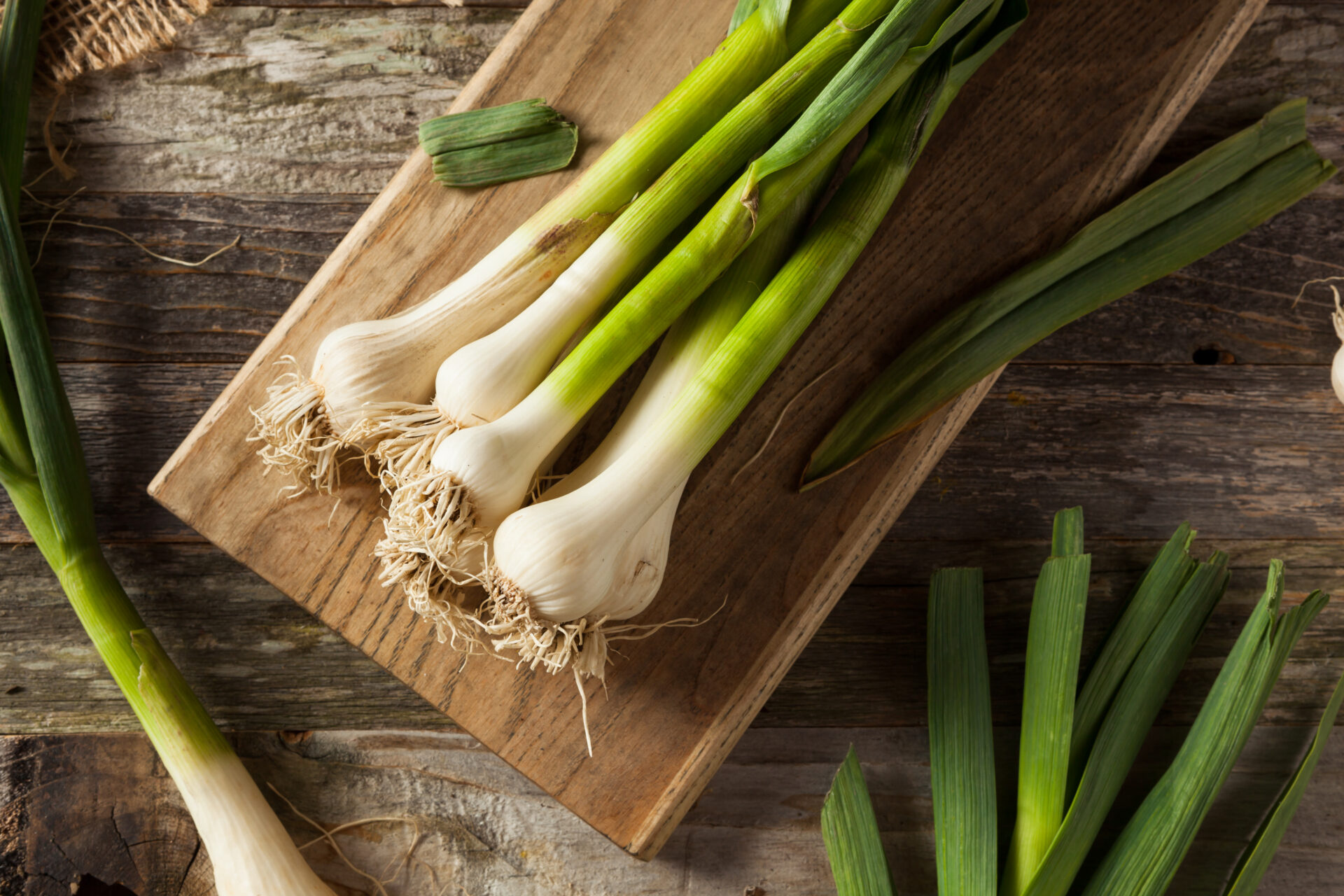 Spring Onion - CookingHub
