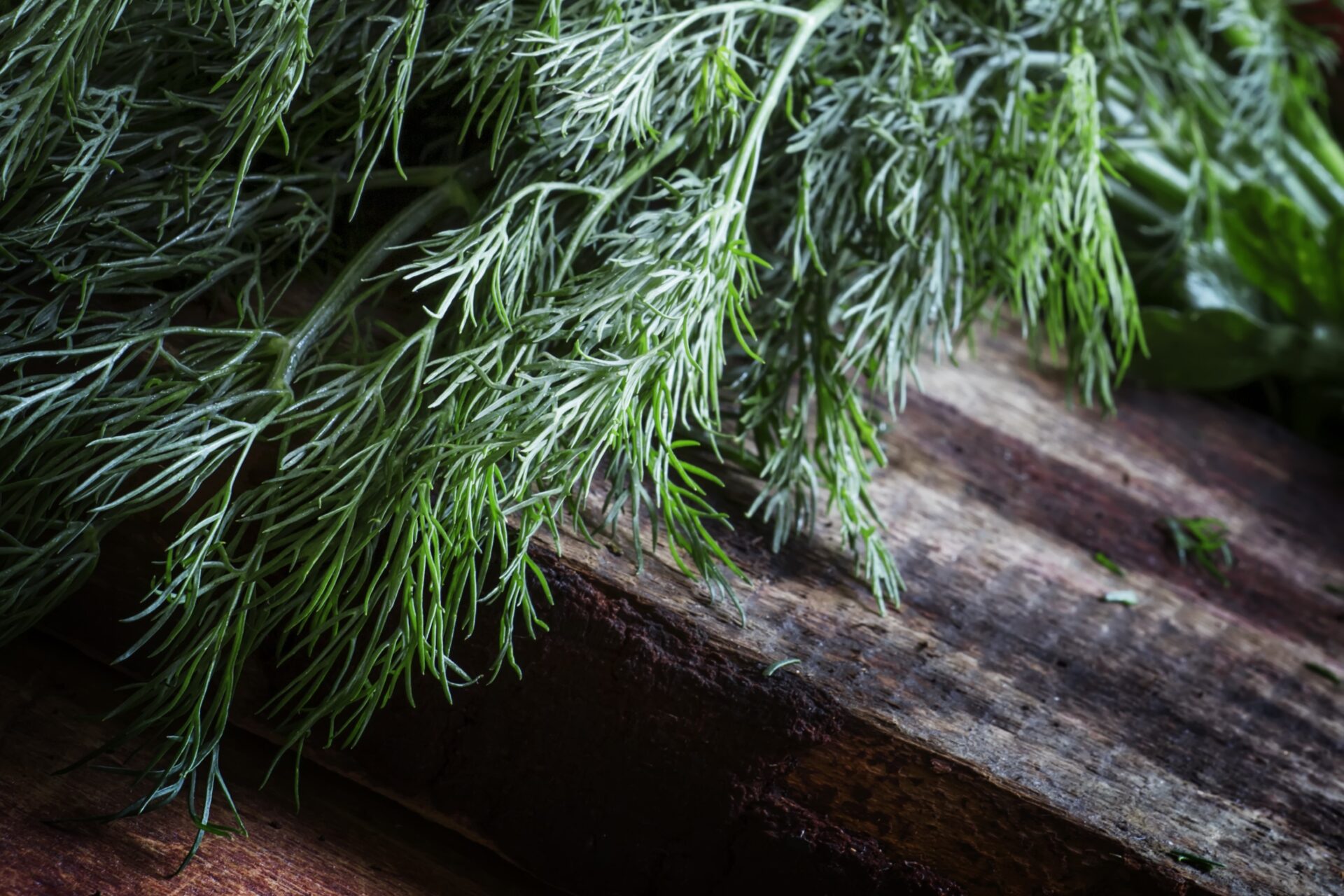Dill Weed - CookingHub