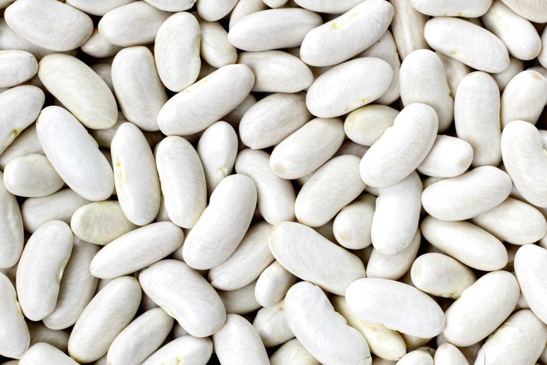 Fayot Beans - CookingHub