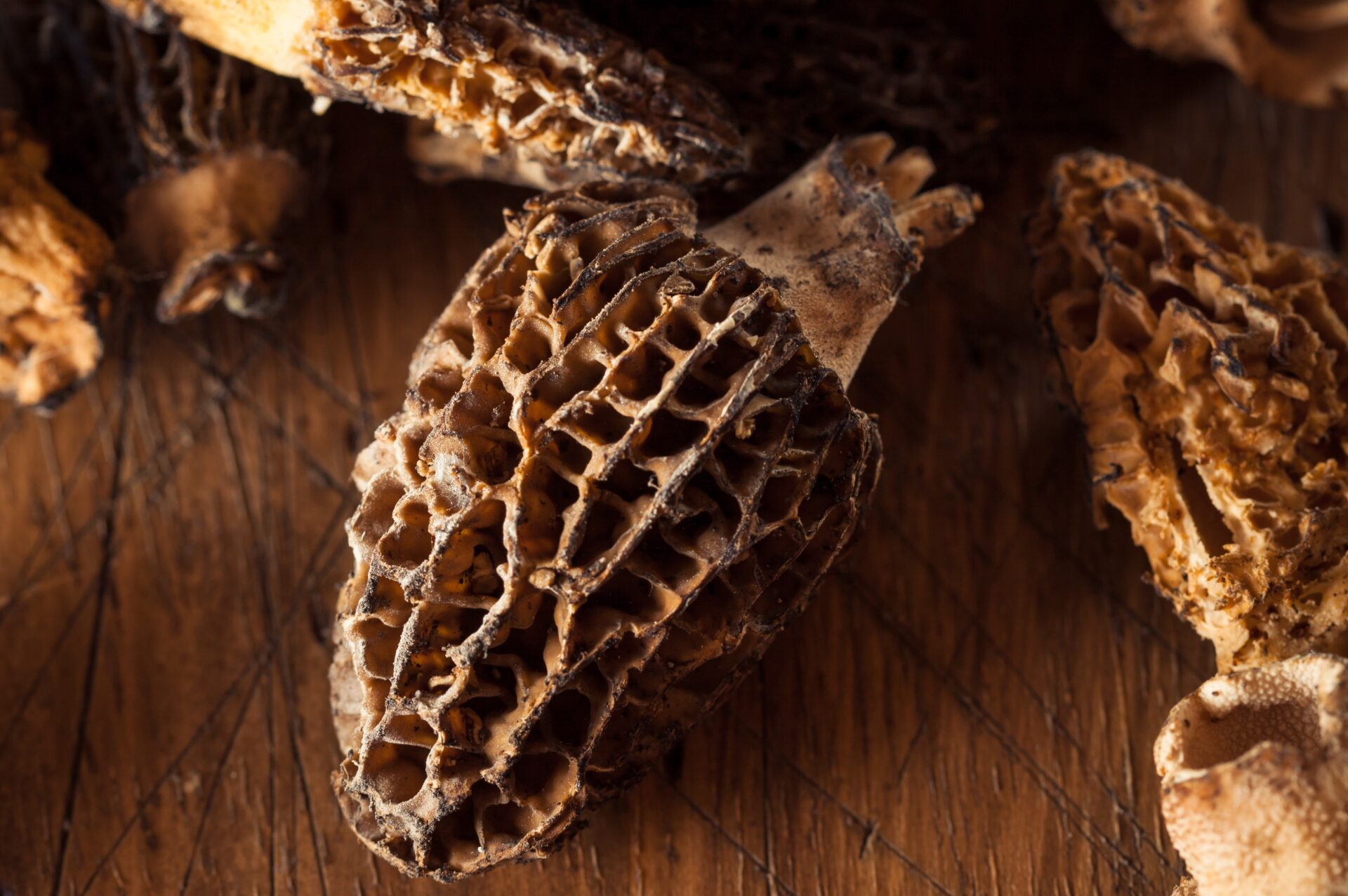 Morel Mushrooms - CookingHub