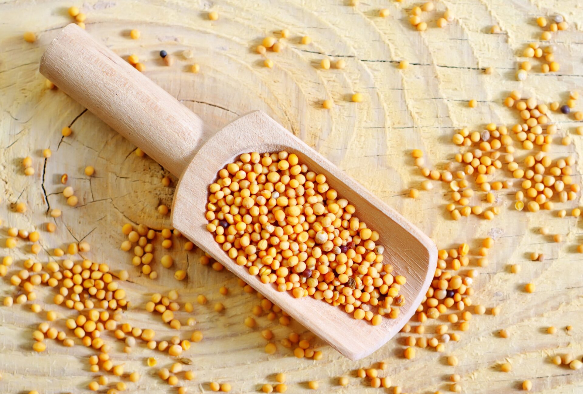 Mustard Seeds - CookingHub