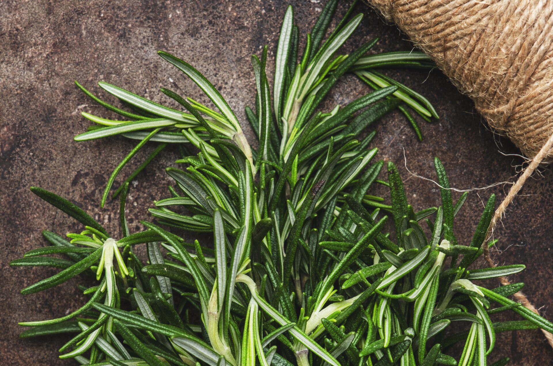 Rosemary - CookingHub