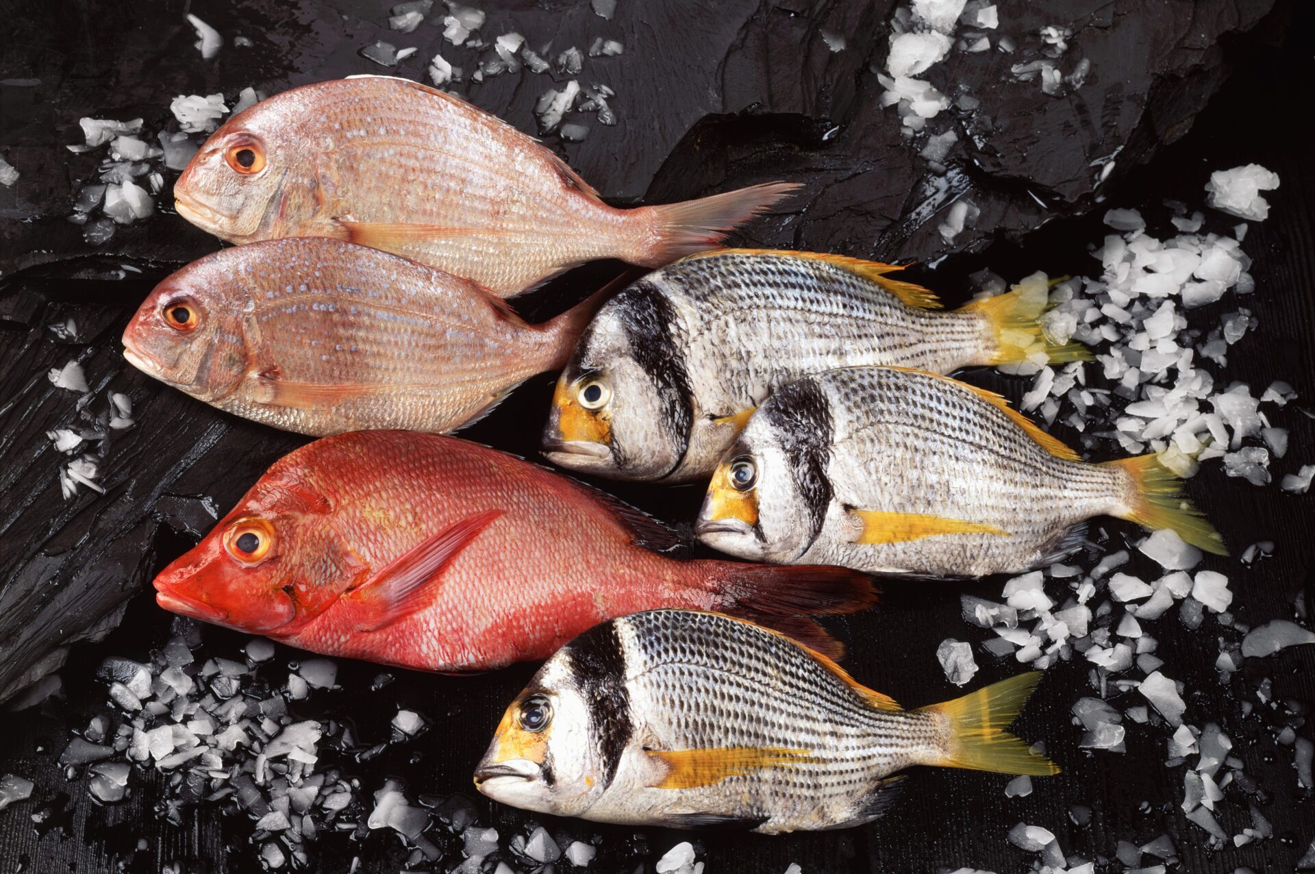 Types of Saltwater Fish - CookingHub