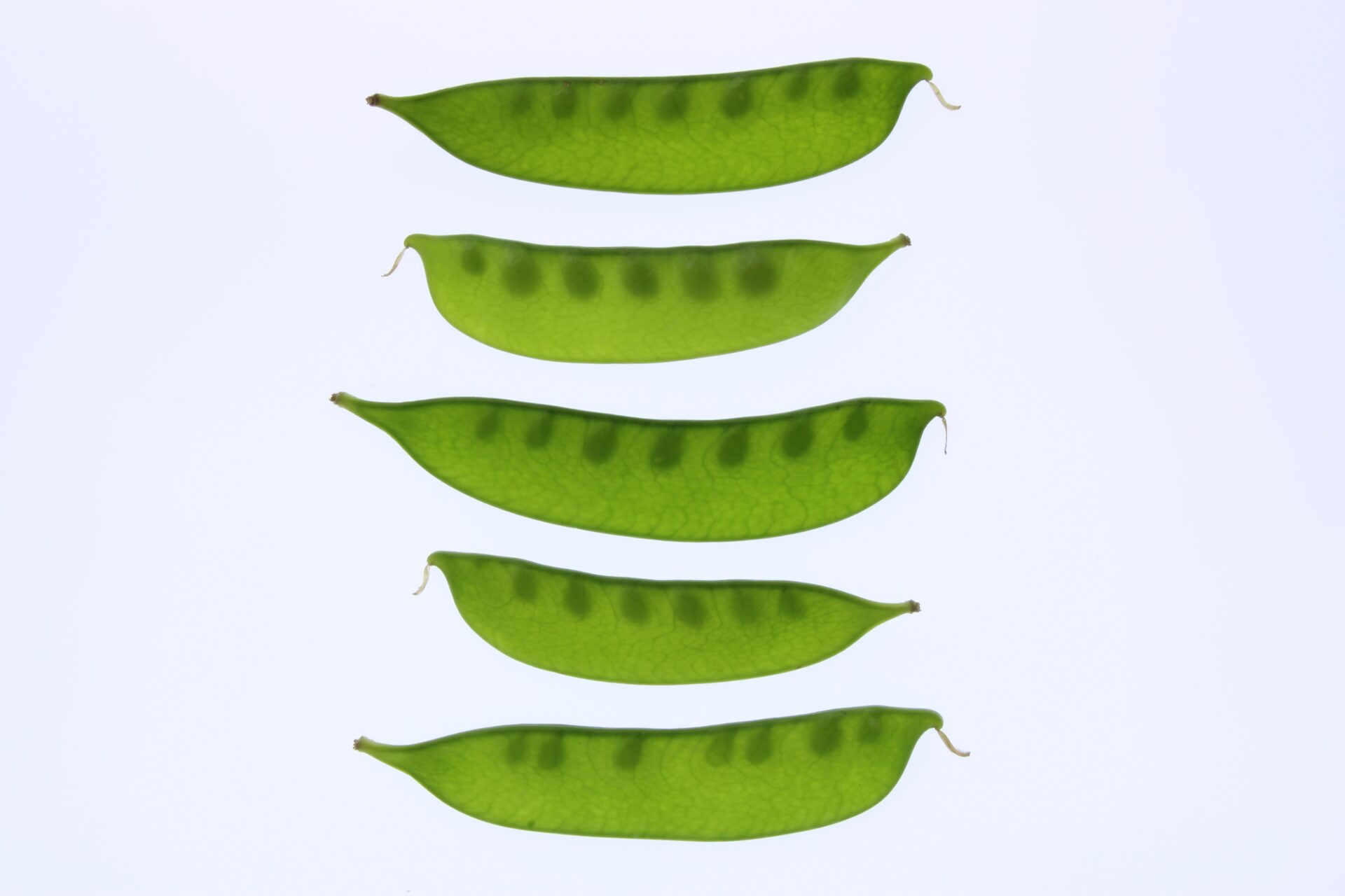 Snow Peas - CookingHub