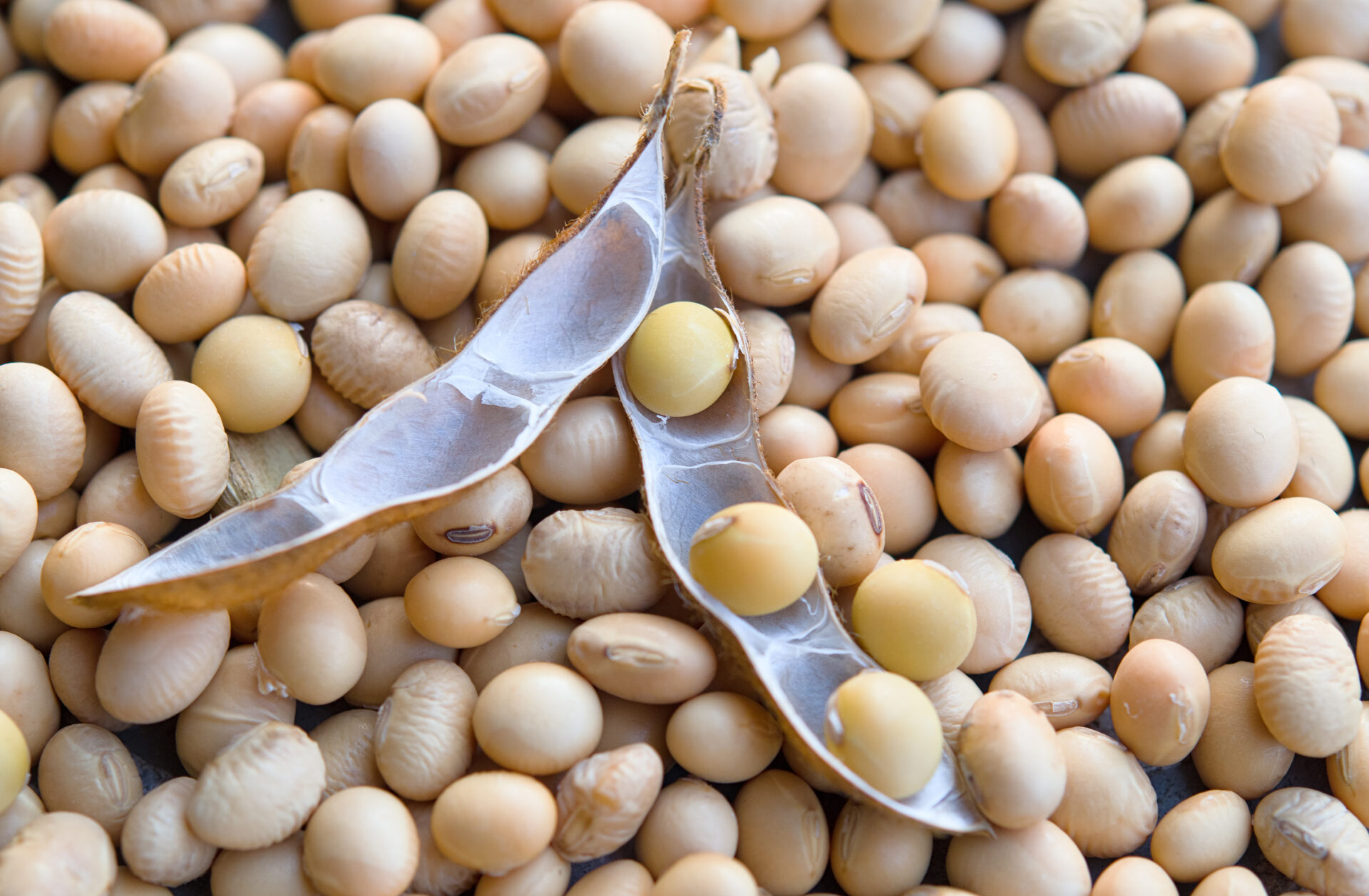 Soybeans - CookingHub