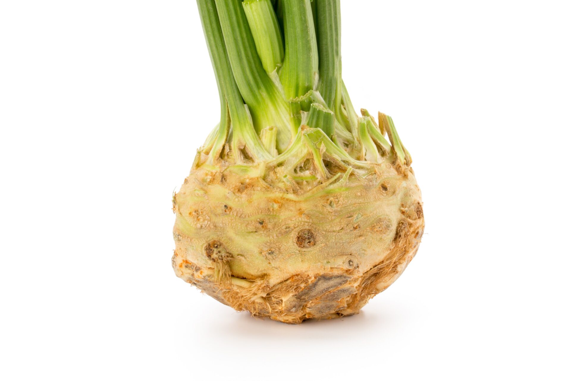 Celery Root Celeriac - CookingHub