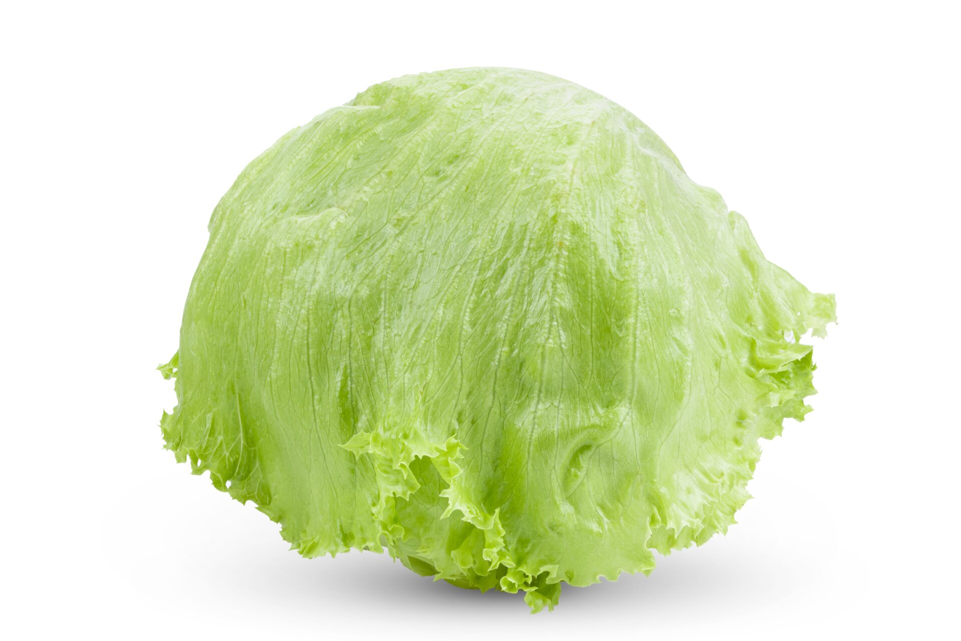 Iceberg Lettuce - CookingHub