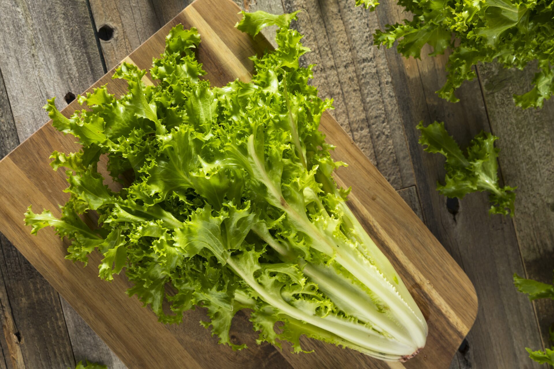 Endive Lettuce - CookingHub