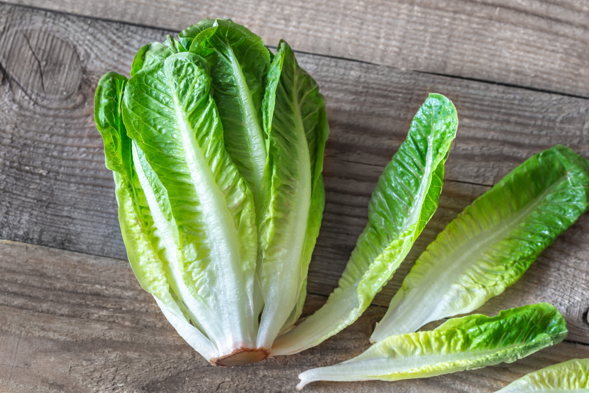 Romaine Lettuce - CookingHub