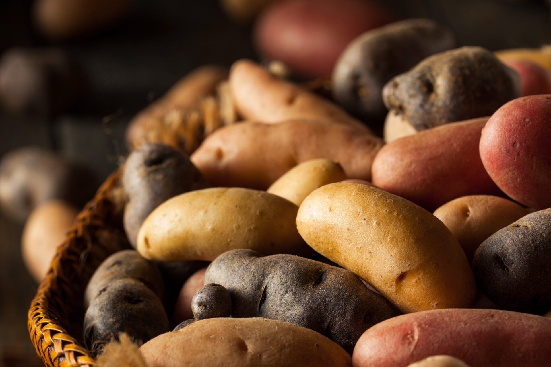 Types of Tuber Vegetables - CookingHub