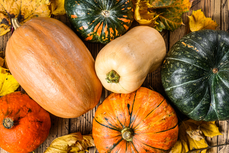 Types of Squash - CookingHub
