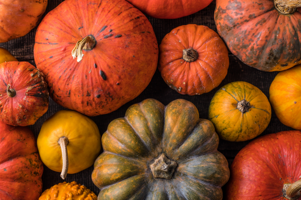 Types of Pumpkin - CookingHub