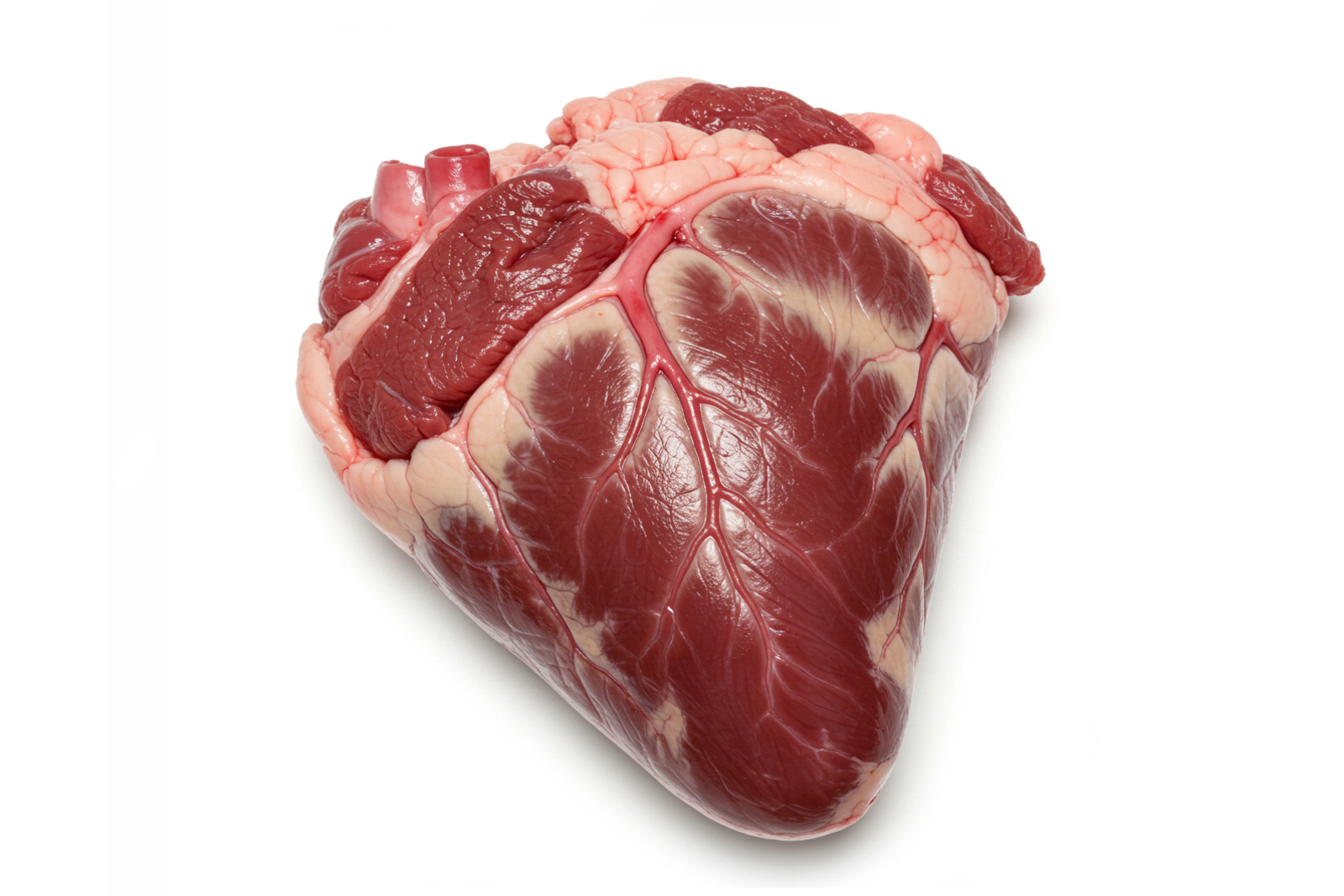 Beef Heart - CookingHub